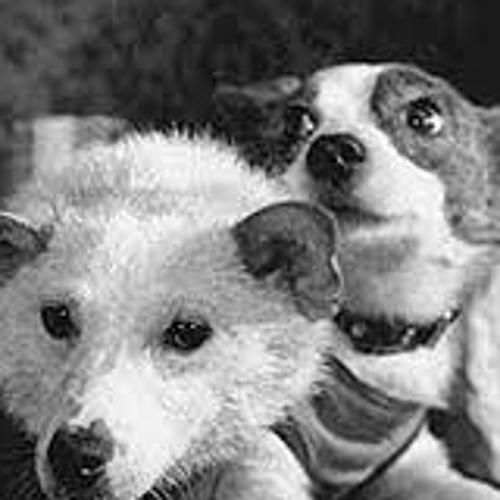 jul 22, 1951 - The First Dogs In Space (Timeline)
