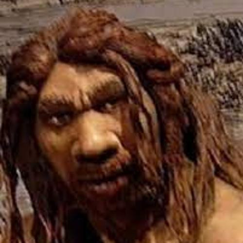 Homo Cepranensis (jan 1, 900000 BC – jan 1, 450000 BC) (Timeline)