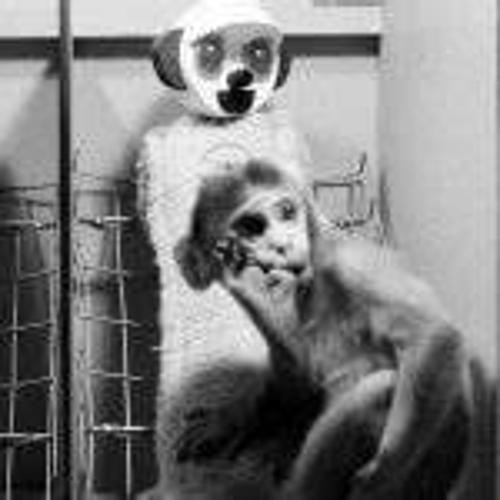 Harry Harlow experiments on attachment in monkeys (1 ene 1950 año – 20 ...