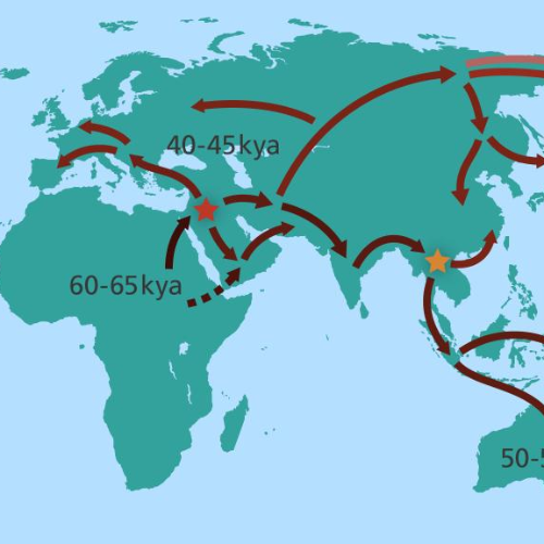 Out of Africa Migration (aug 28, 2000000 BC – aug 28, 300000 BC) (Timeline)