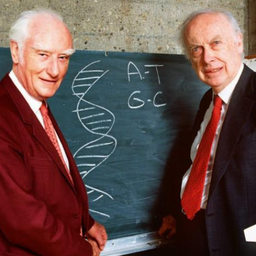 oct 25, 1841 - Strasburger – Fleming. Descubren los cromosomas ...