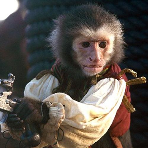 feb 16, 2015 - DAILY MAIL Monkey Jack will be held in quarantine for 30 ...