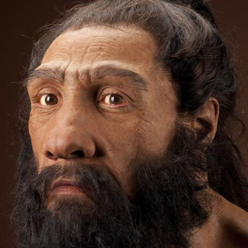 jan 1, 498000 BC - Neanderthals (Timeline)