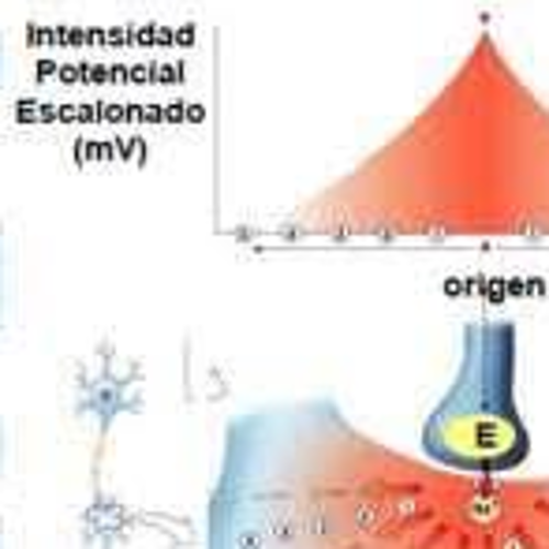jan 1, 1866 - Teoría del impulso nervioso como una "onda negativa", de ...