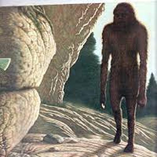 Meganthropus (jan 1, 1400000 BC – jan 1, 900000 BC) (Timeline)