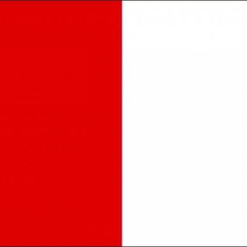 Red vs. White Army (jan 1, 1919 – jan 1, 1921) (Timeline)