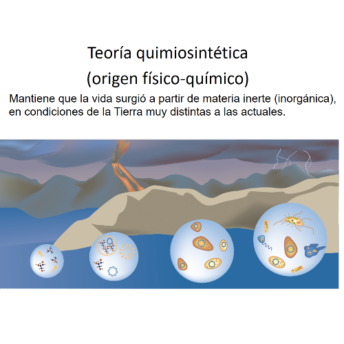1 Jan 1924 Jahr - 1924 D) Teoría Quimiosintética (Band der Zeit)