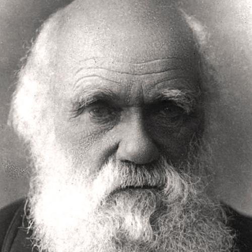 Charles Darwin Evolusjonsteorien (apr 1, 1809 – apr 30, 1882) (Timeline)