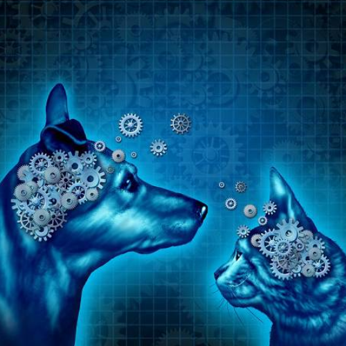 Psicología Comparada o psicología animal (23 mayo 1960 año – 23 mayo ...