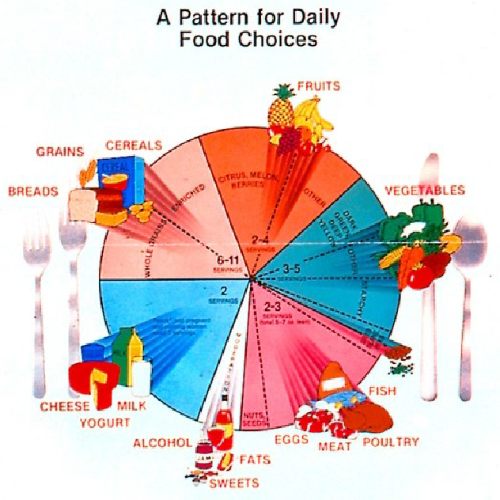 aug 1, 1984 - Food Wheel Food Guide Published (Timeline)