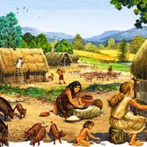 Neolithic Era (New Stone Age) (jan 1, 8000 BC – jan 10, 3000 BC) (Timeline)