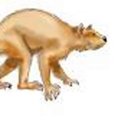 jan 1, 57000000 BC - Altiatlasius (Timeline)