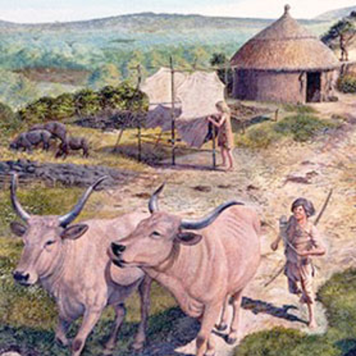 Neolithic Era (New Stone Age) (1 ene 8000 año aC – 1 ene 3000 año aC ...