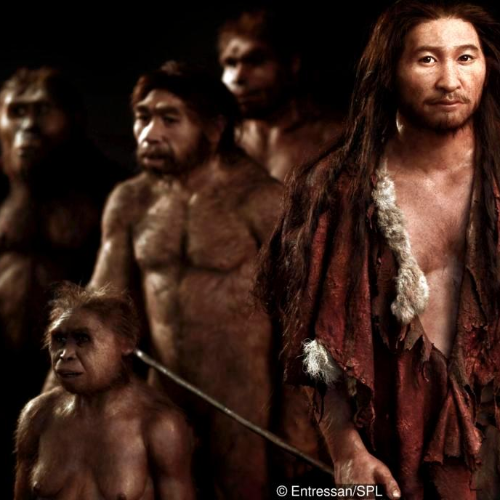 The earliest clothing (jan 25, 3500 BC – jan 25, 3500 BC) (Timeline)