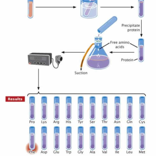Marshall Nirenberg Genetic Code