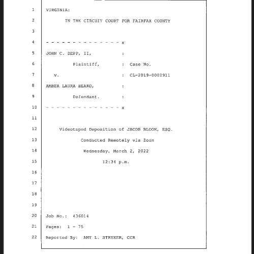 15h 10min, mar 2, 2022 y - Depp v Heard Jacob Bloom Deposition (Timeline)