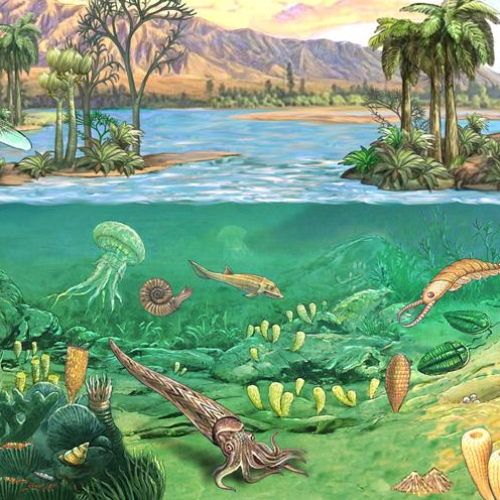 jan 1, 700000000 BC - era paleozoica (Timeline)