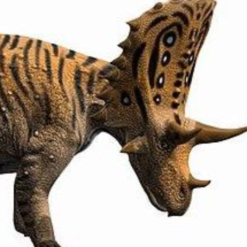 Judiceratops (3 oct 78000000 año aC – 3 feb 77500000 año aC) (Cinta de ...