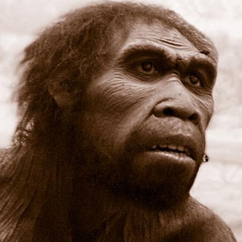 Homo Ergaster (jan 1, 1800000 BC – jan 1, 1500000 BC) (Timeline)