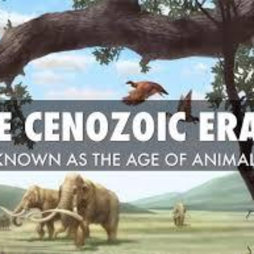 Cenozoic Era