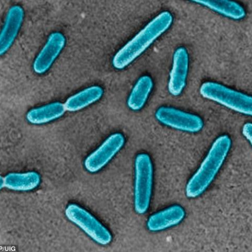 jan 1, 1861 - Louis Pasteur develops germ theory (Timeline)