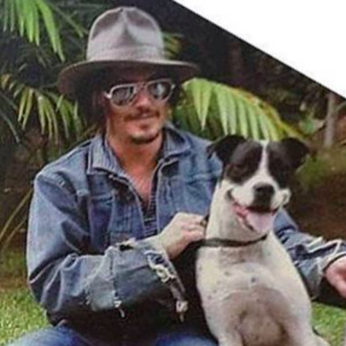 nov 27, 2013 - Gimme Shelter Suzanne Allison DOG RESCUE BOOK Johnny ...