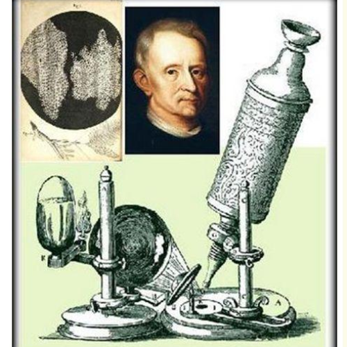 1 jun 1665 ano - Robert Hooke (Linha do tempo)