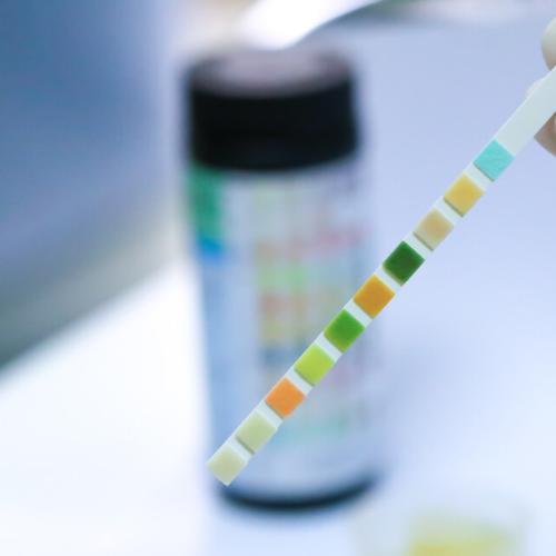 jan 20, 2013 - PRIMEIRO EXAME DE XIXI (Timeline)