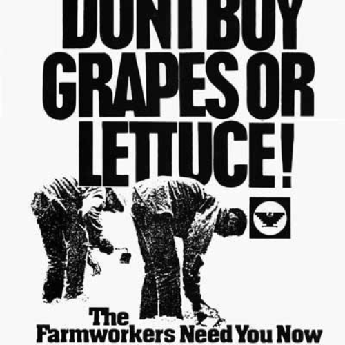 Cesar Chavez Boycott Posters