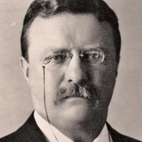 sep 14, 1901 - President Theodore Roosevelt (Timeline)