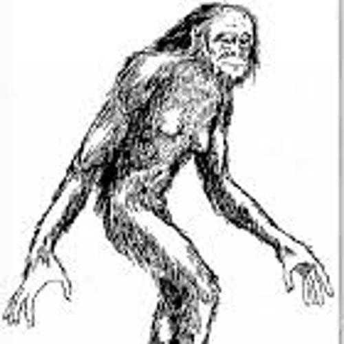 Homo Luzonensis (1 jan 67000 ano antes da era comum – 1 jan 5000 ano ...