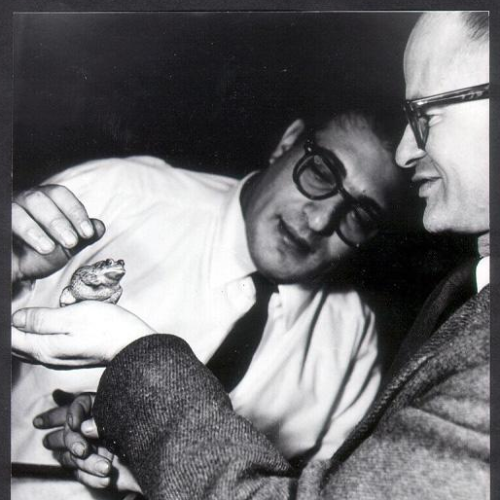 1 ene 1943 año - Warren McCulloch y Walter Pitts presentaron su modelo ...