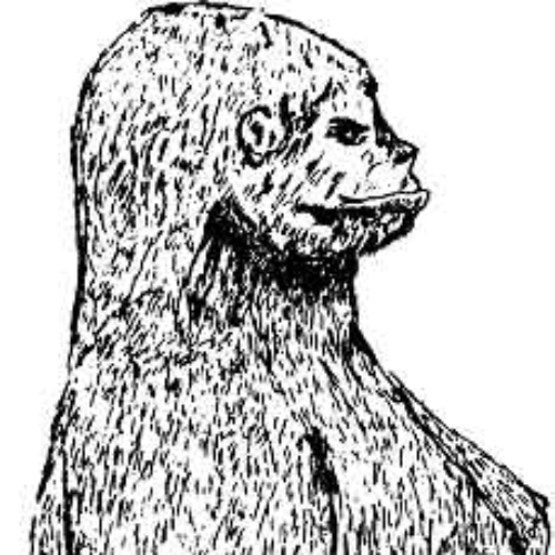 oct 3, 1955 - William Roe's Encounter (Timeline)