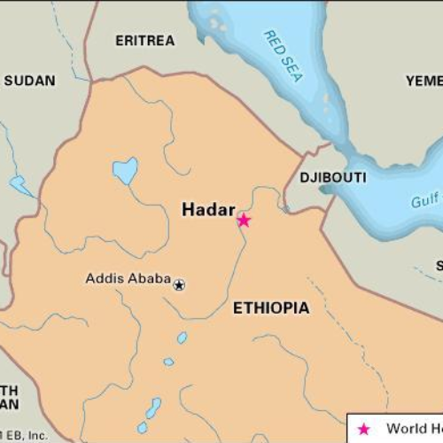 Australopithecus Afarensis Map