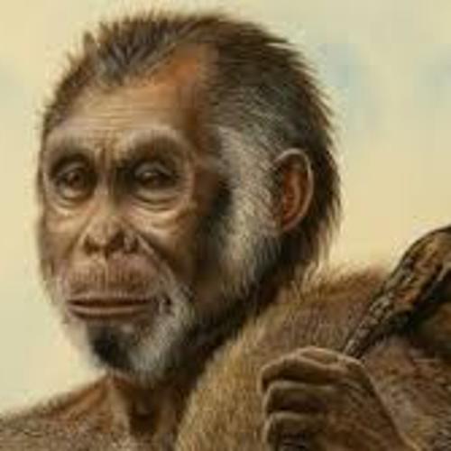 Homo Luzonensis (jan 1, 67000 BC – jan 1, 5000 BC) (Timeline)